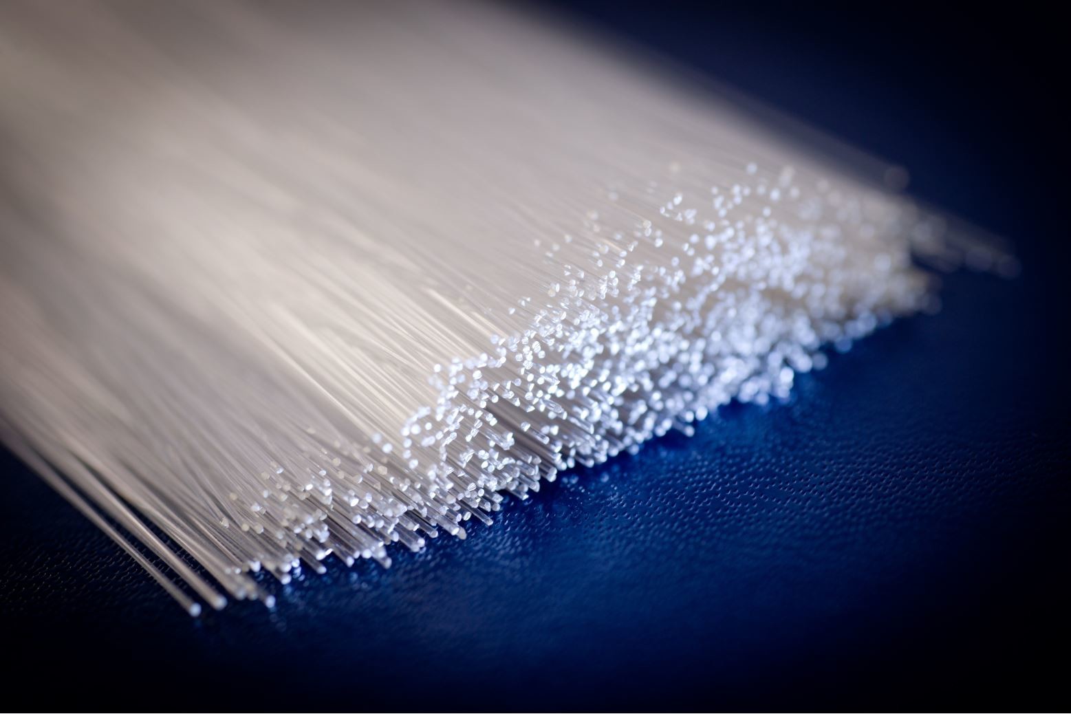 China Dongguan Guanhong Optical Cable Co., Ltd. latest company cases ...